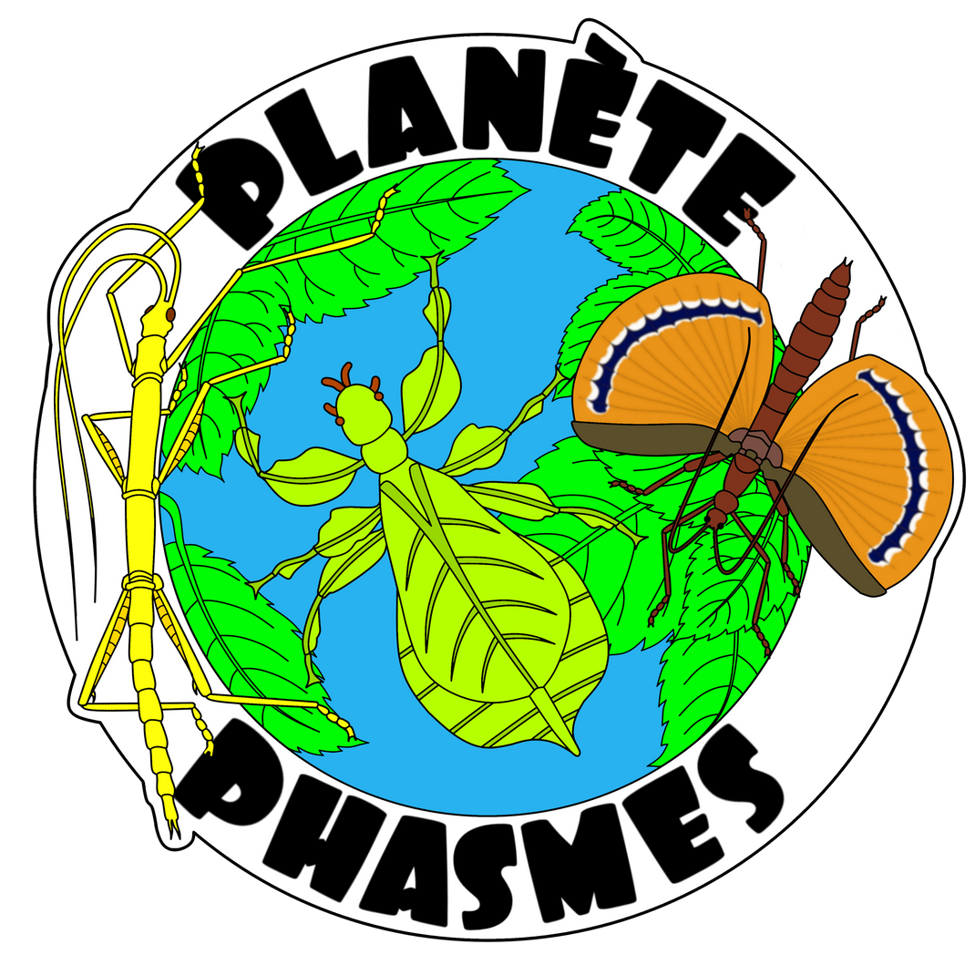 Planète Phasmes