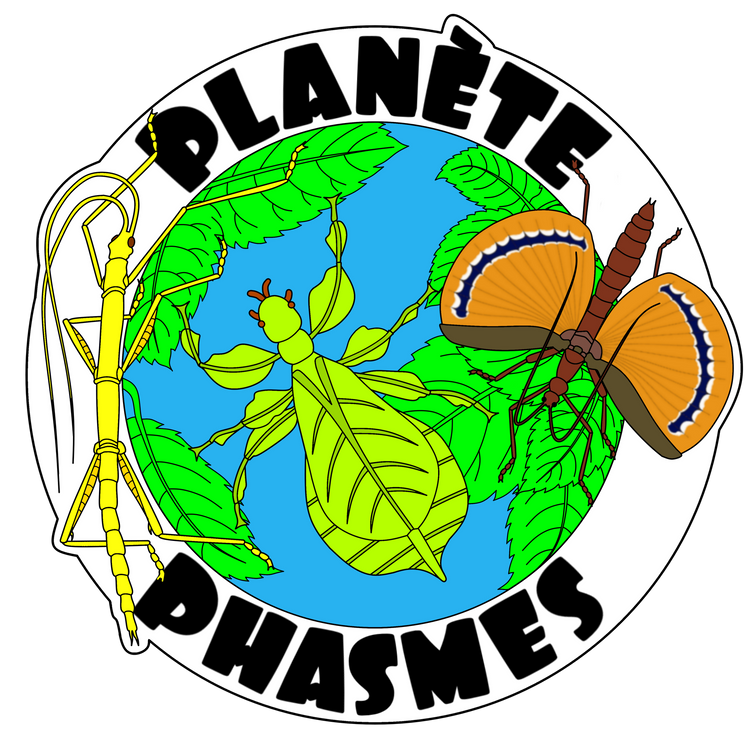Planète Phasmes